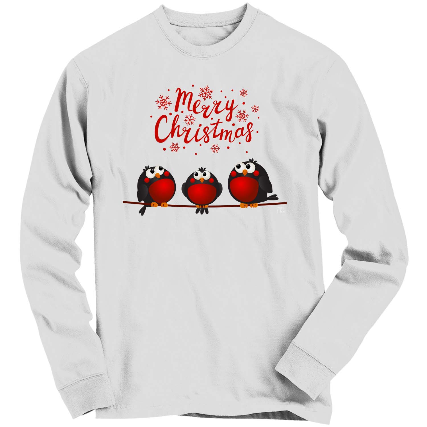 1Tee Womens Merry Christmas Red Robin Birds Sweatshirt Jumper | eBay UK